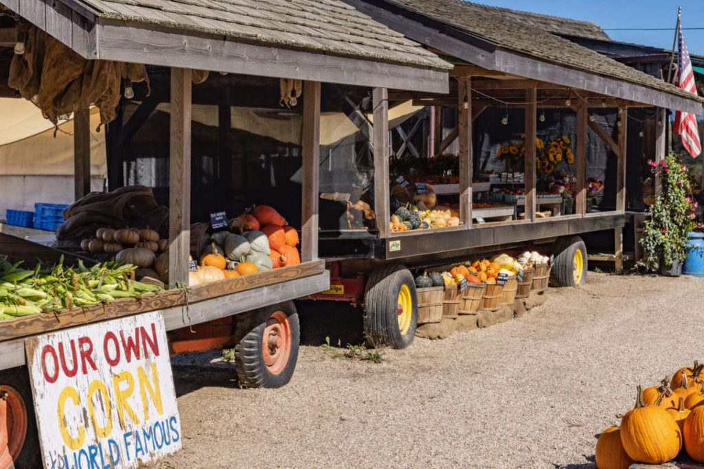 Balsam Farm Stand - Greg Baker